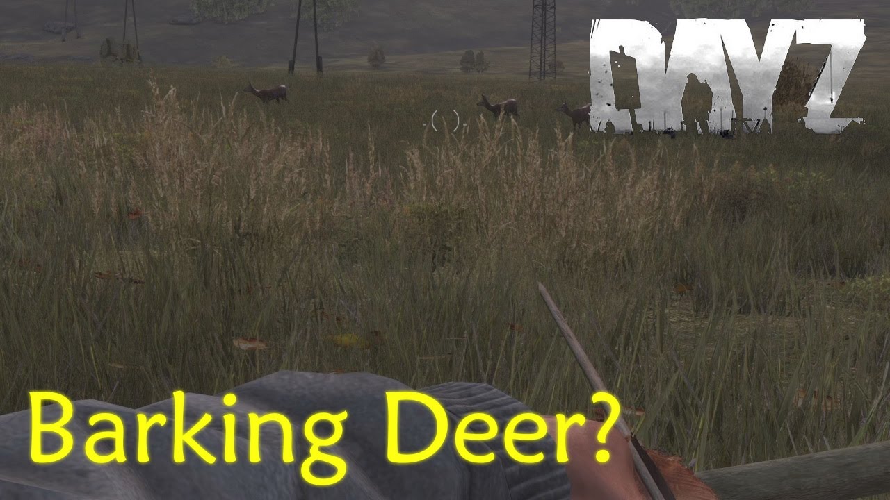 DayZ | Barking Deer? - YouTube