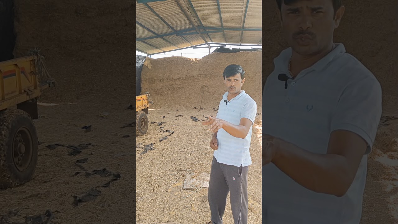 Y.T.PATIL DAIRY FARM - YouTube