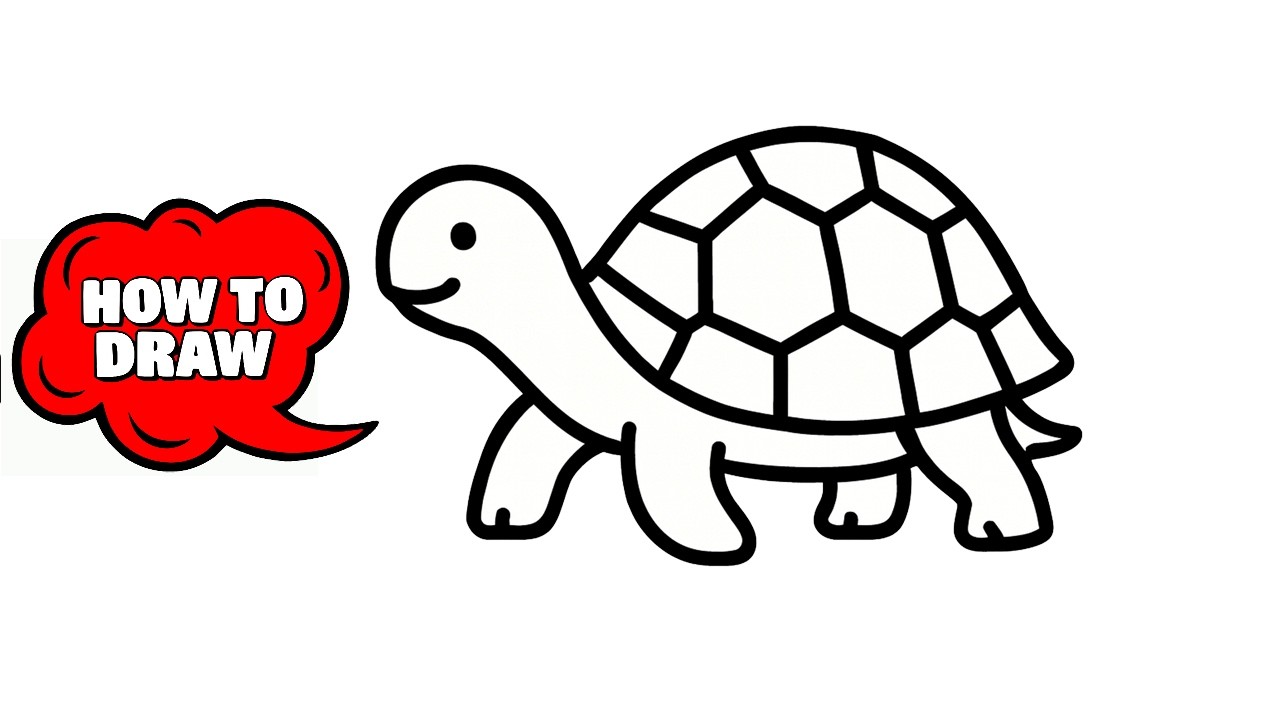 How To Draw A Turtle Drawing For Beginners - YouTube
