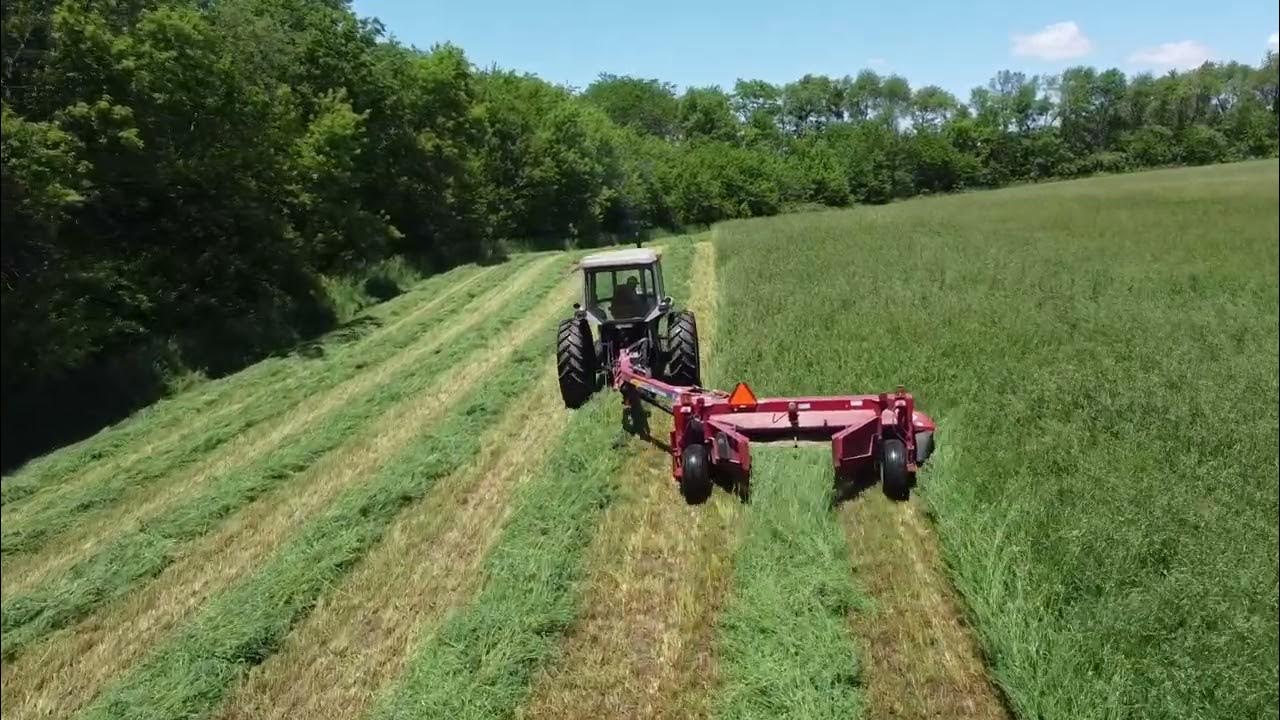 Mowing 1st crop hay with 2-105 white - YouTube