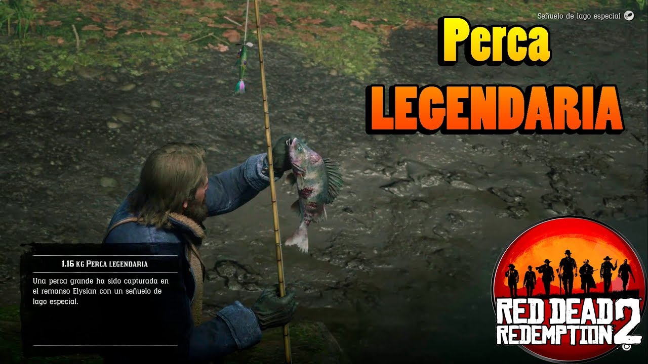 Perca legendaria - Guia pesca Read Dead Redemption 2 - YouTube