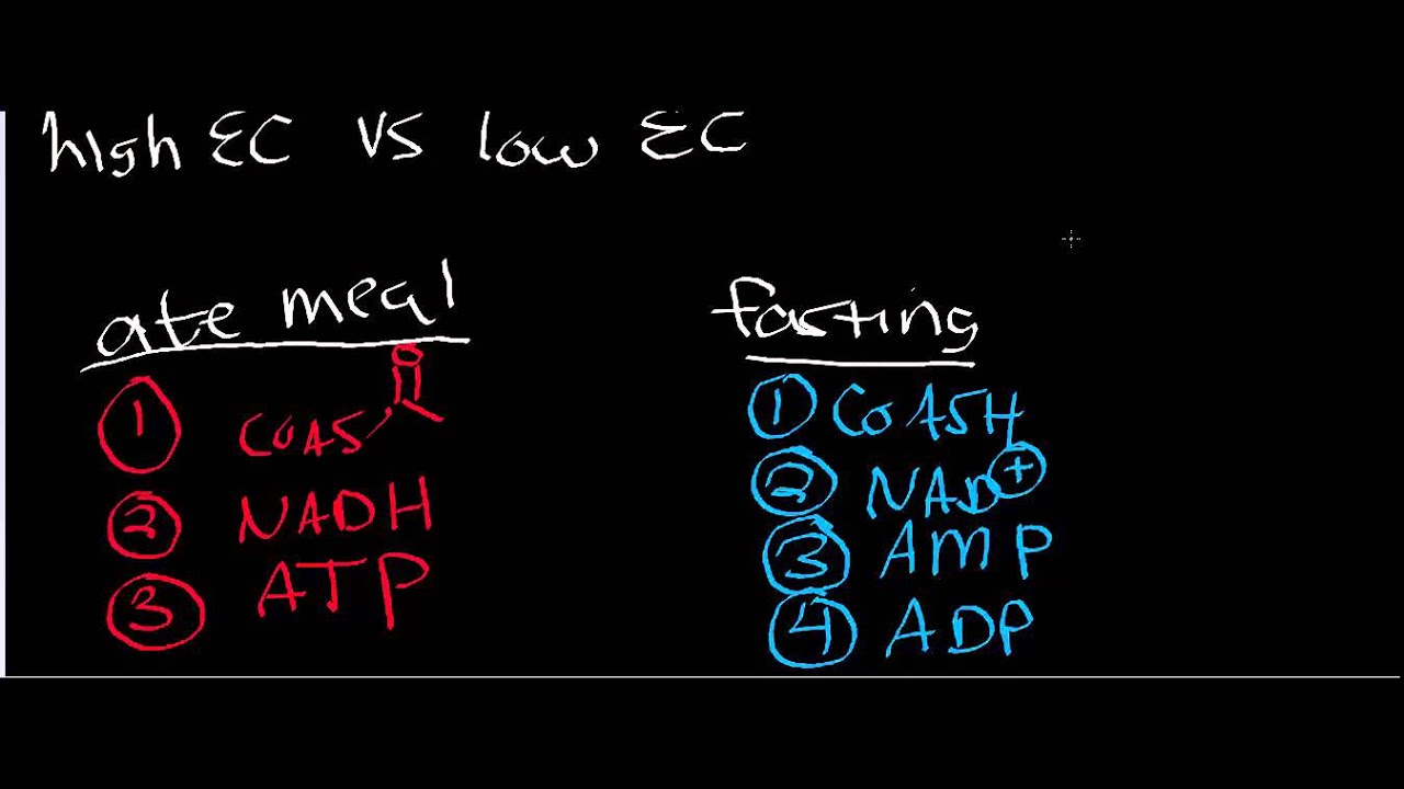 Biochemistry | Allostery High vs Low Energy Charge - YouTube
