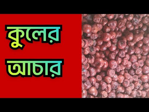 কুলের আচার তৈরি করা/Preparation of Kull Achar /@healthyandtastyrecipes4 ...