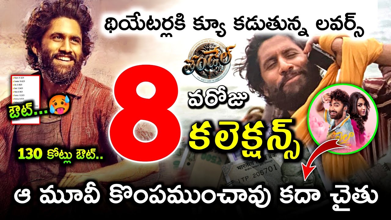 Day 8 Thandel Movie Collections🔥 Thandel Movie 8th Day Official ...