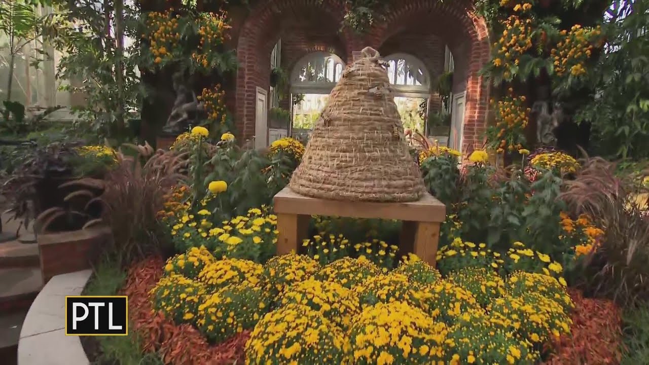 A Hometown Harvest at Phipps Conservatory for the Fall Flower Show ...