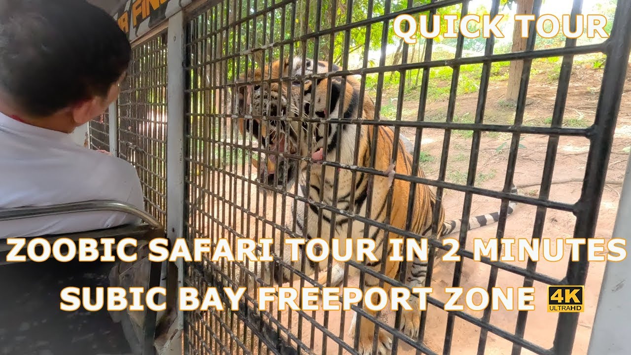 ZOOBIC SAFARI IN SUBIC BAY FREEPORT ZONE TOUR [4K] - YouTube