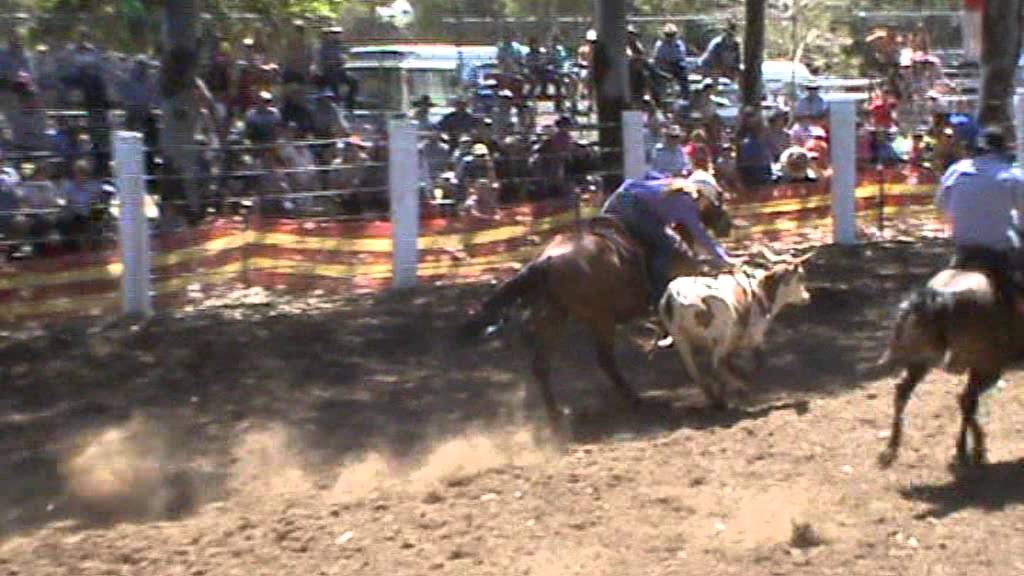 Steer Undecorating Kenilworth - YouTube