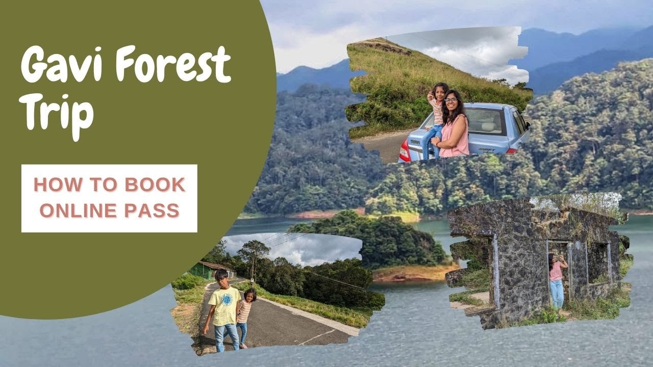 Gavi Trip | ഗവി online entry pass എടുക്കേണ്ടത് എങ്ങനെ| Gavi Forest ...