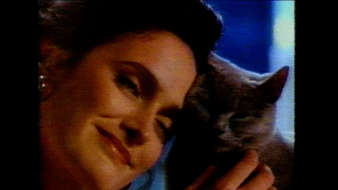 Sheba Cat Food, "Cherish Your Cat" Commercial (1991) - YouTube