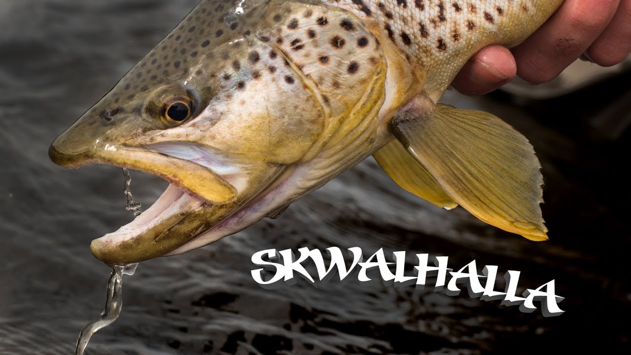 SKWALHALLA Teaser - Skwala Hatch Montana - YouTube