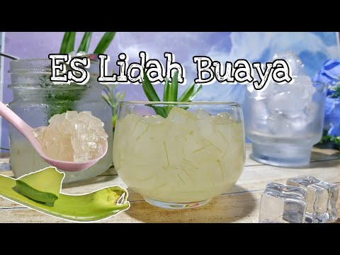Cara Membuat Minuman Lidah Buaya Khas Pontianak dan tips Membersihkan Lendir Pada Lidah Buaya