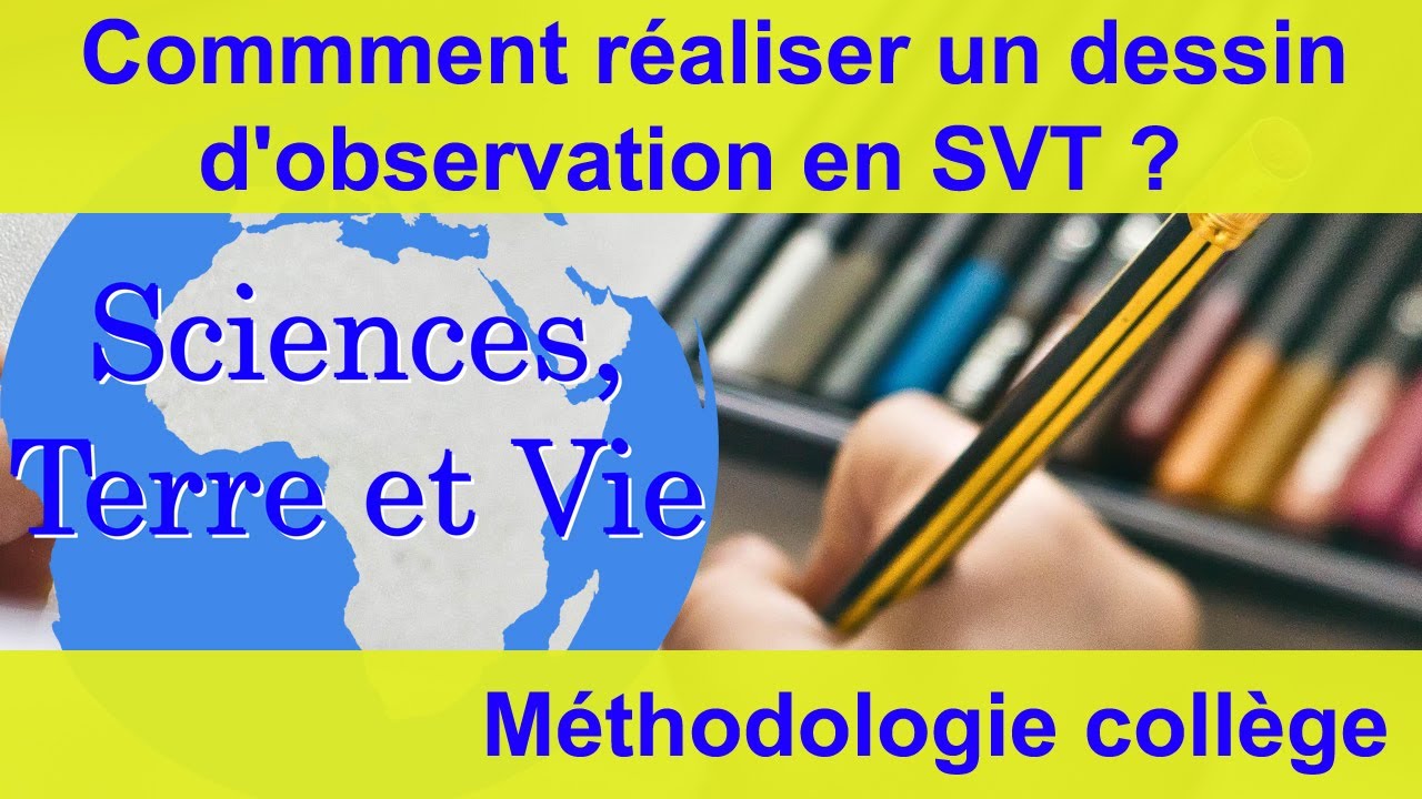 Comment réaliser un dessin en SVT - YouTube