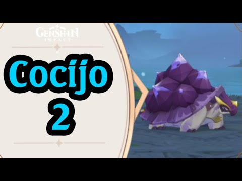 (GENSHIN) Turtle Local Legend "Cocijo" 2nd achievement WL9 - YouTube