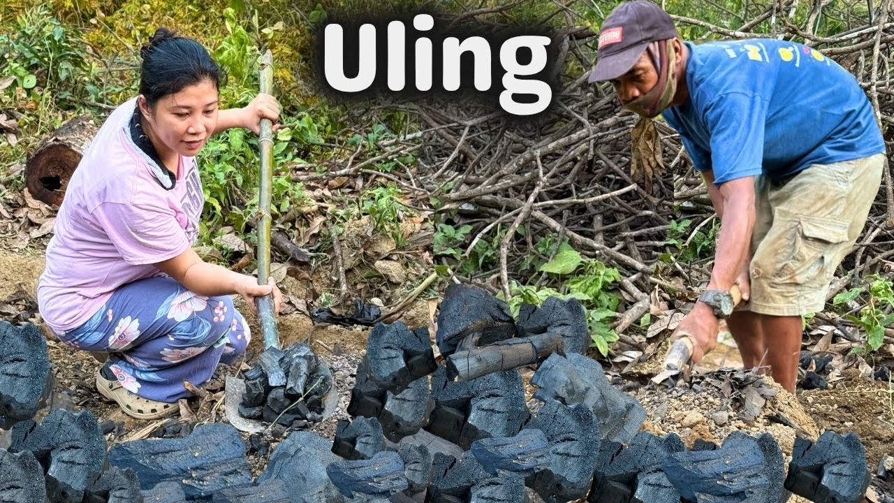 Harvest ng Uling at nangilaw kami sa ilog | PHILIPPINES LIFE - YouTube