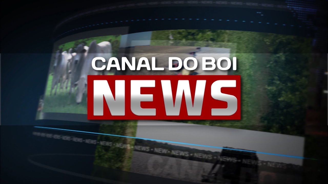 Canal do Boi News | 19/07/2024 - YouTube