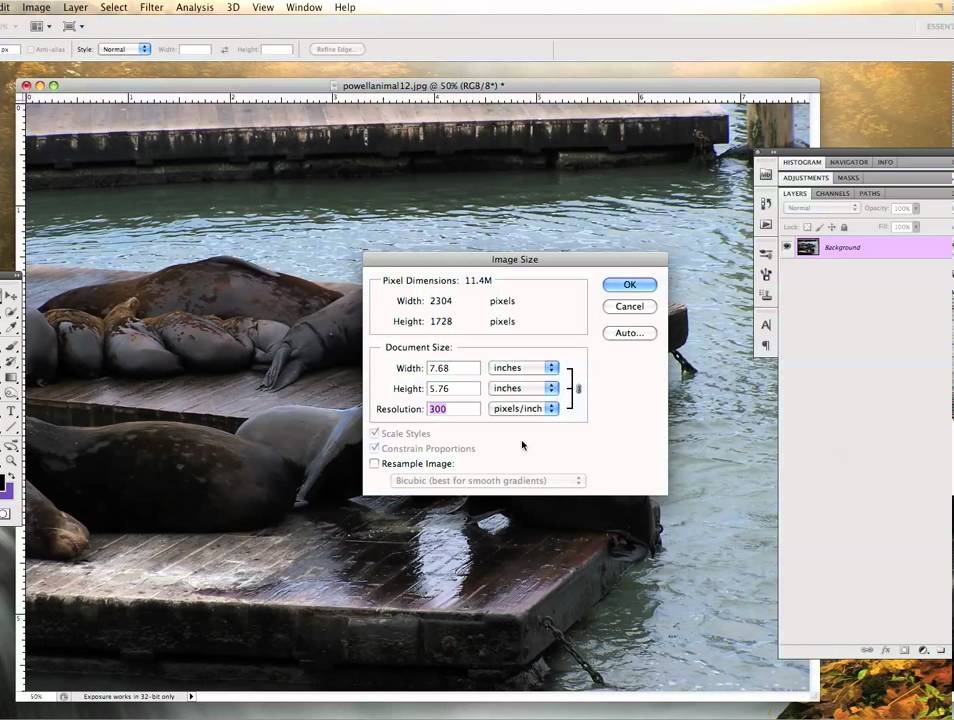 Resample Photoshop Image - YouTube