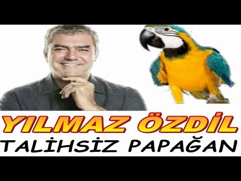 YILMAZ ÖZDİL, Talihsiz Papağan