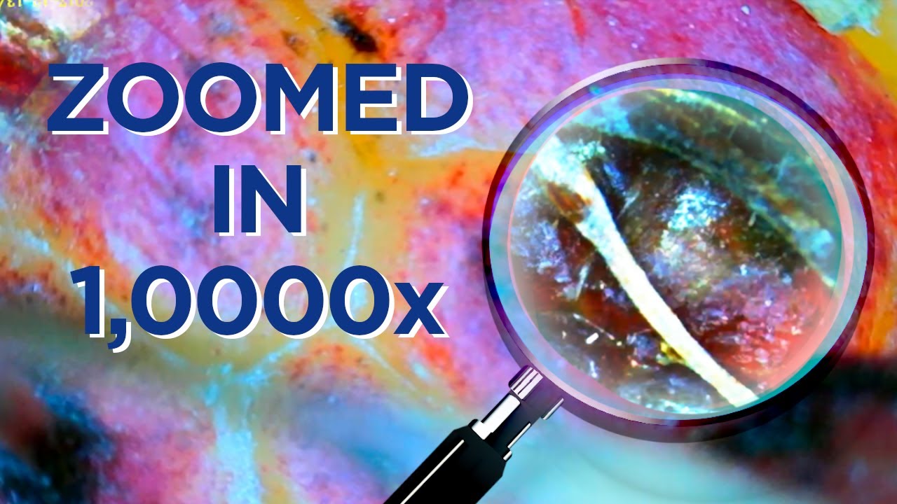 Can you guess these objects Zoomed in 1,000 times? - YouTube