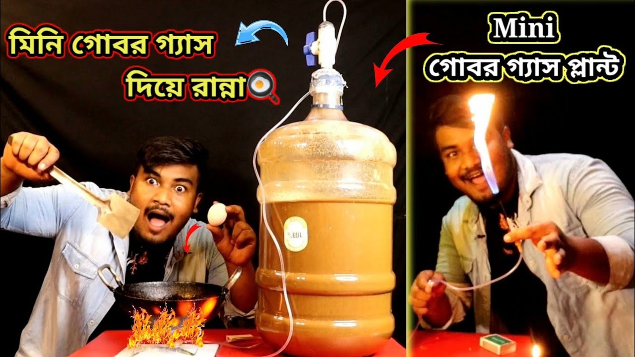 মিনি গোবর গ্যাস দিয়ে রান্না করলাম | How To Make Mini Gobar Gas Plant 😁 ...