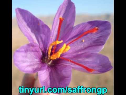 saffron tilak benefits - YouTube