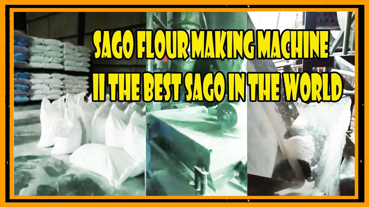 Sago Flour Making Machine || The Best Sago in The World - YouTube