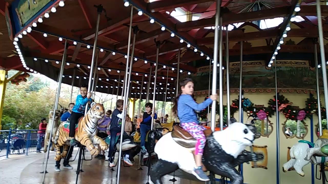 Houston zoo carrousel - YouTube