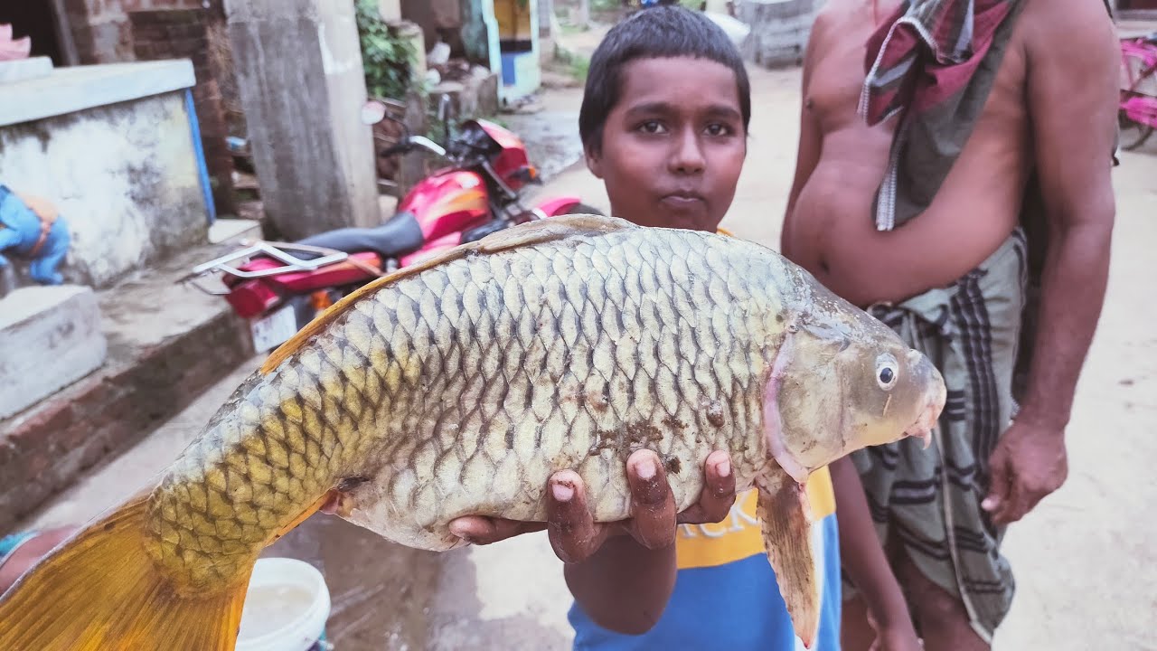 Netfishing catching big fish // catchingfish // fishing // fish - YouTube