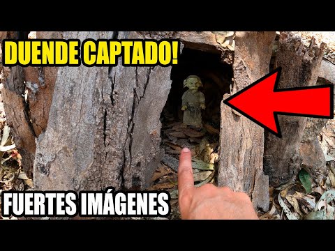 DUENDE REAL CAPTADO en CÁMARA 2022 (DUENDES VISTOS en la VIDA REAL ...