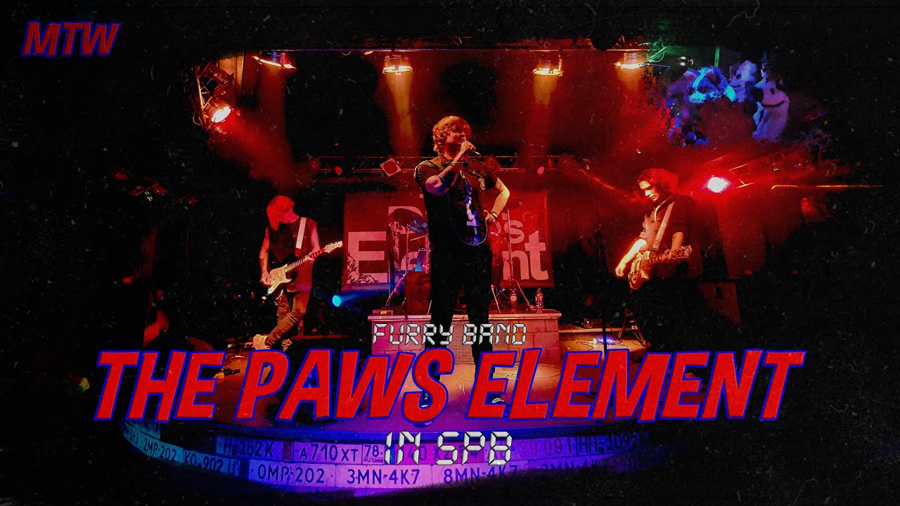 THE PAWS ELEMENT В ПИТЕРЕ! #furry #furryfandom - YouTube