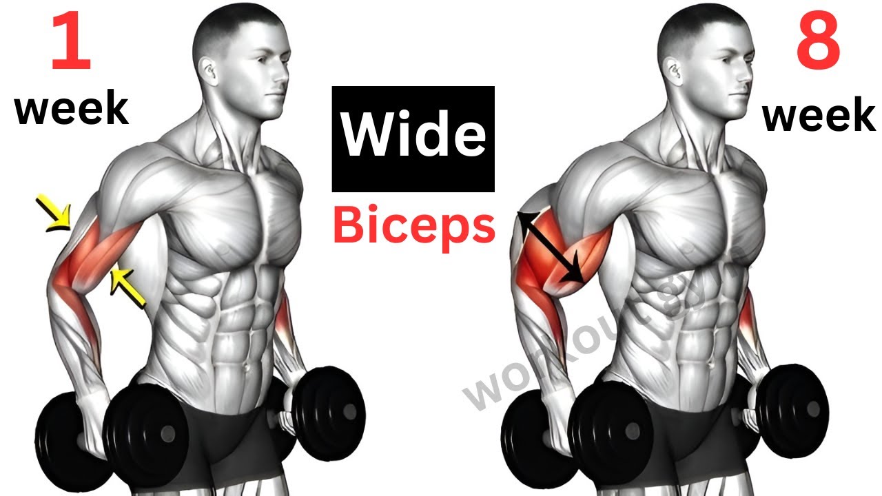 8 Best Arms Workout At Gym Biceps And Triceps Workout - YouTube