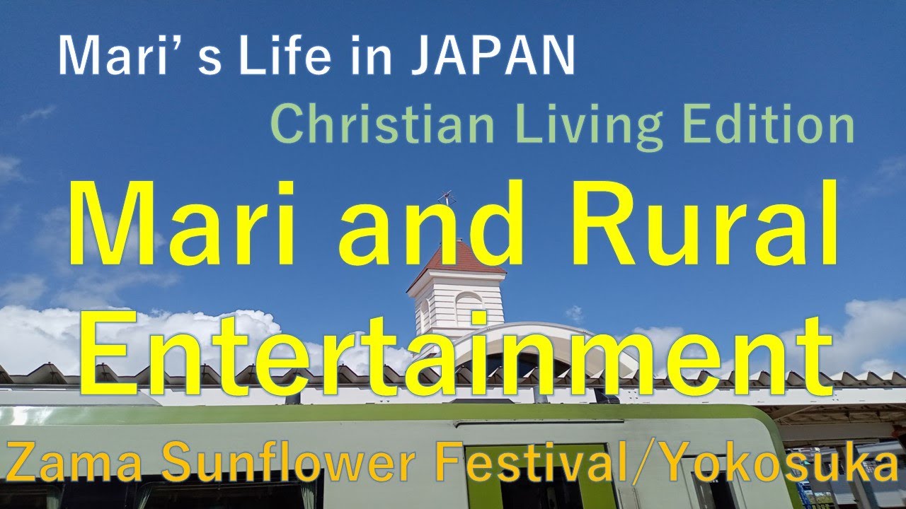 "Life in JAPAN" Mari goes to the Zama Sunflower Festival (Mari's life ...