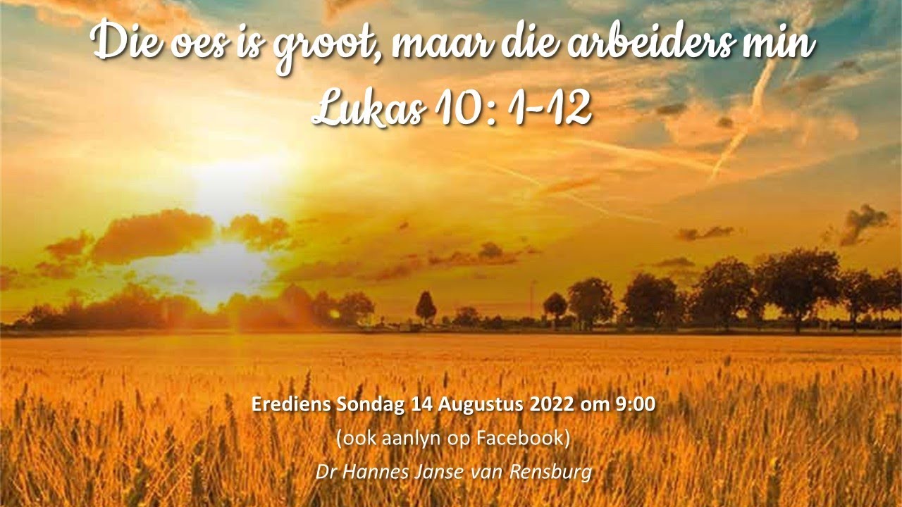 Die oes is groot, maar die arbeiders min - YouTube