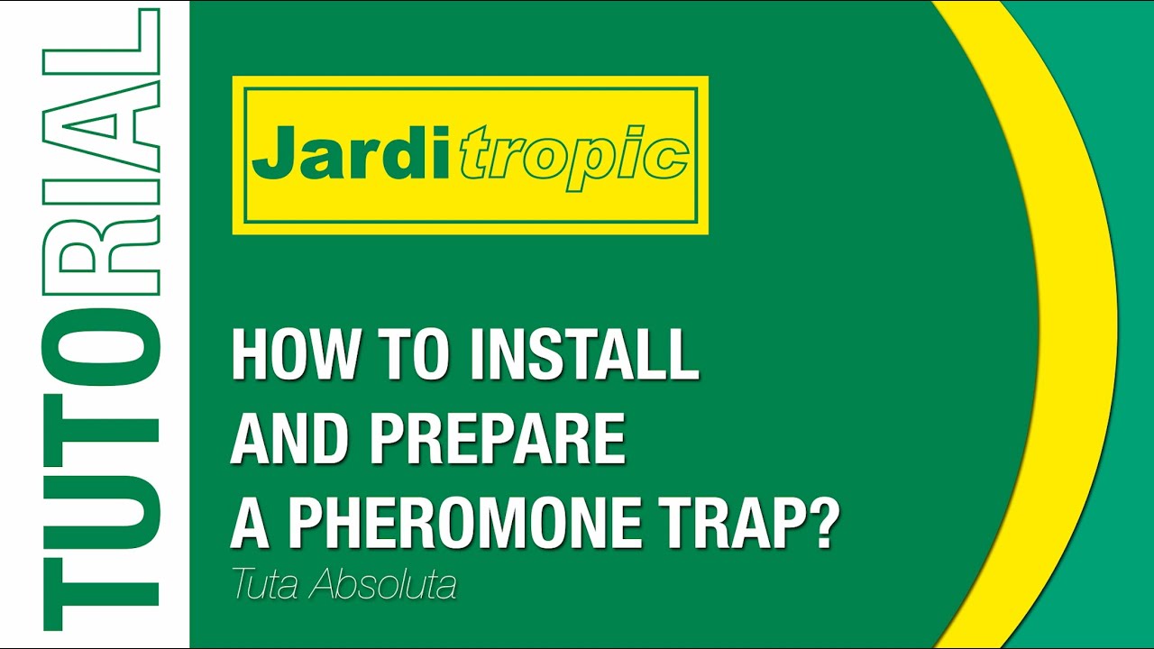 Tutorial - Pheromone trap - YouTube