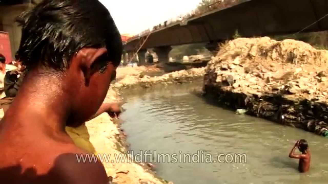 Young rag-pickers dive into dirty water to beat Delhi's heat - YouTube