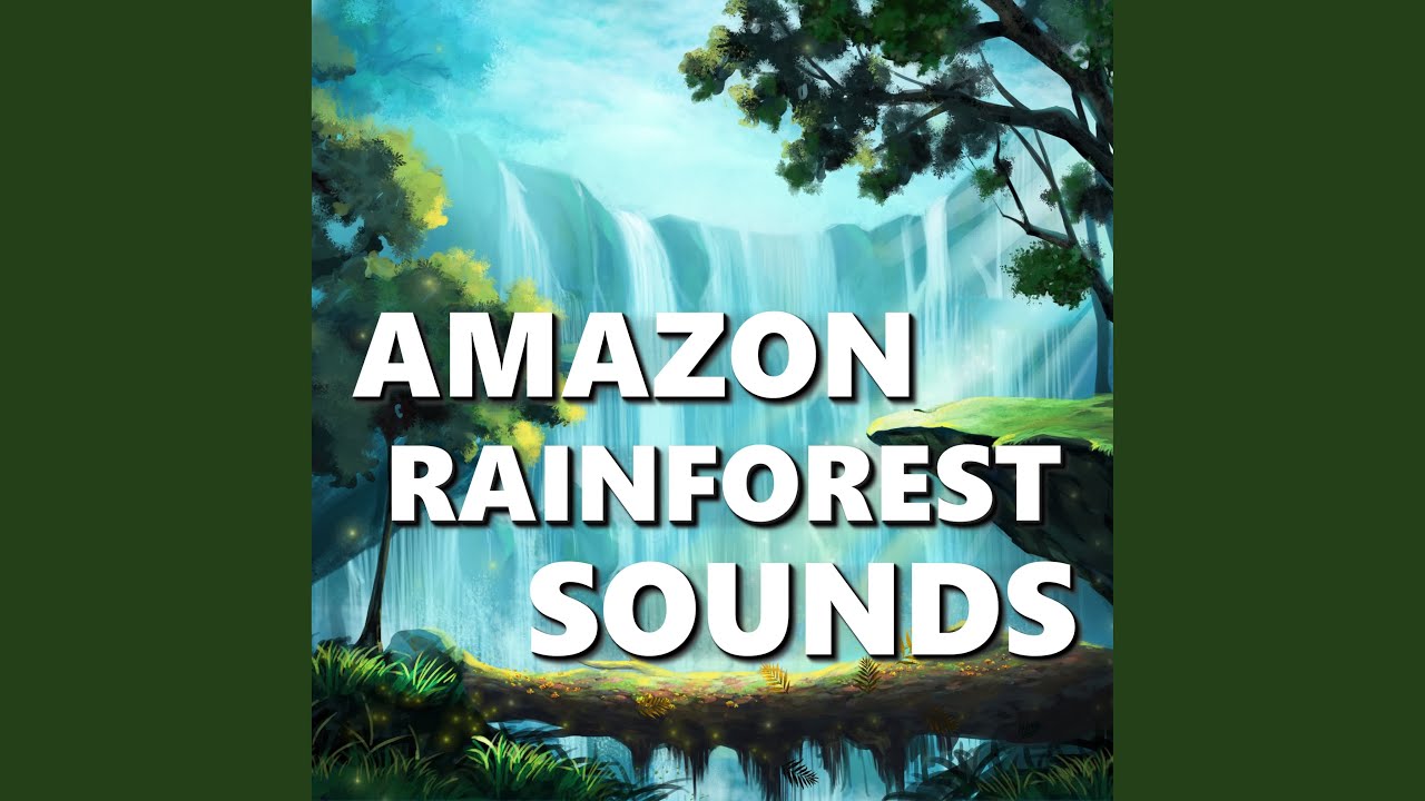 Amazon Rainforest Sounds - YouTube