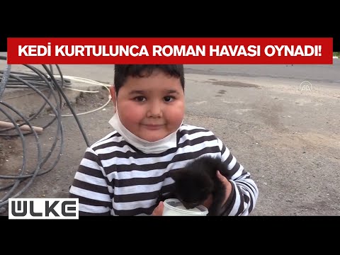 Kediyi Kurtarınca Sevinçten Roman Havası Oynadı!