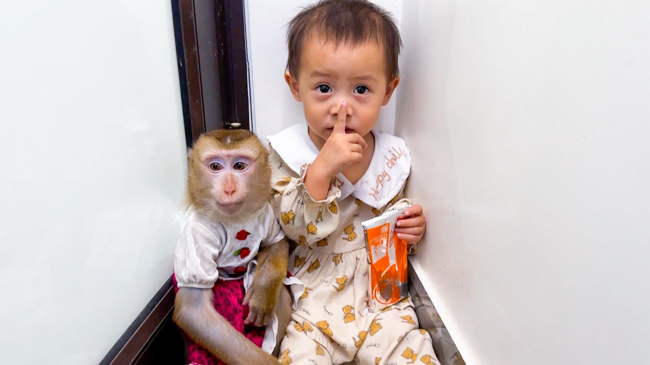 Diem and Monkey Kaka hid behind the door and shared cookies - YouTube