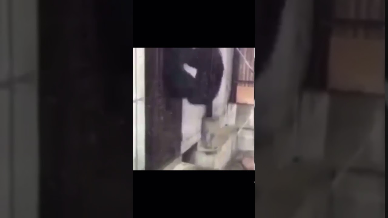 Monkey Banging on door meme - YouTube