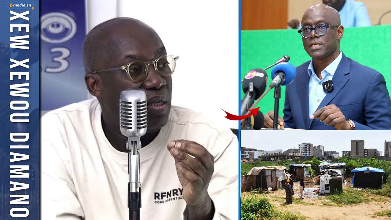 Sortie de Thierno Alassane Sall sur la vie chère : la réaction d’Ibou ...
