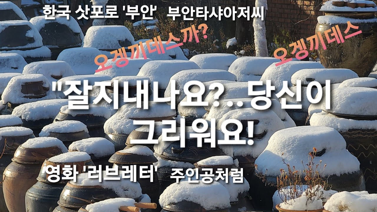 누나는 나의 영원한 주인공 한국의 삿포로 부안 부안타샤아저씨의 꽃 정원 빈티지 이야기 첫눈 오겡끼데스까 삿포로 영화러브레터 아름다운정원 정원가꾸기 타샤