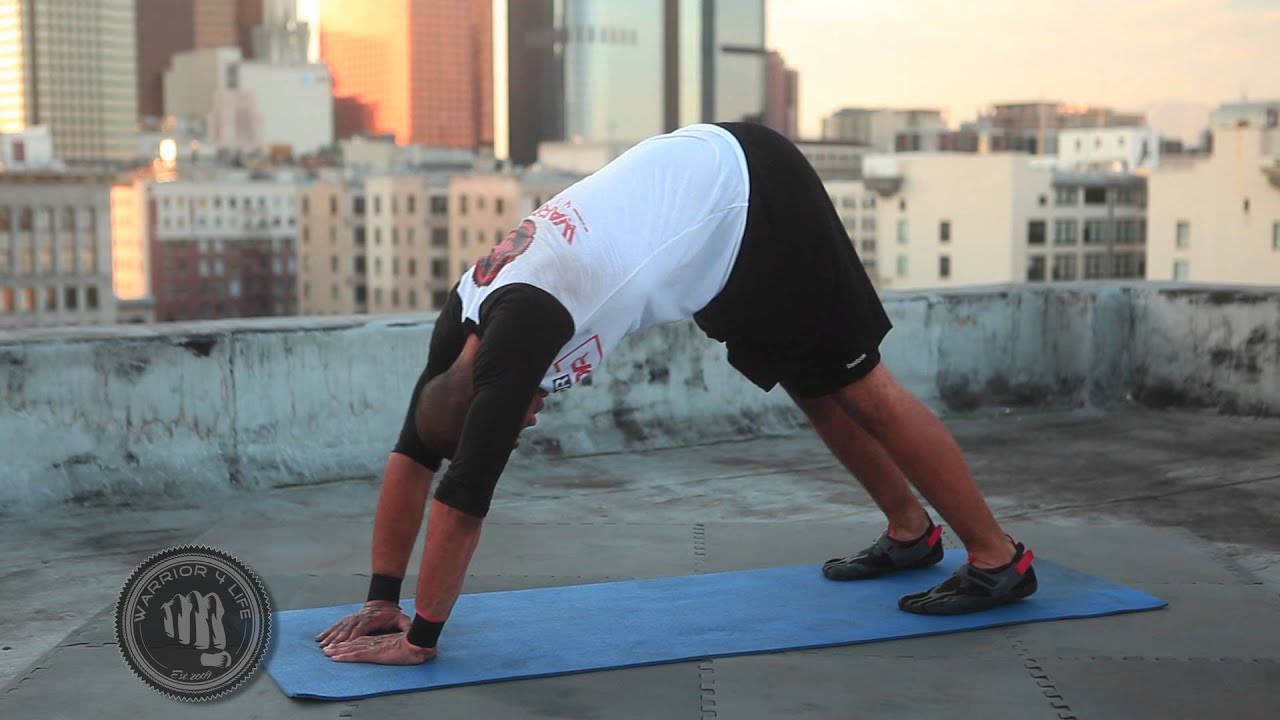12 Diamond Pike Push Ups QuickTime H 264 copy - YouTube