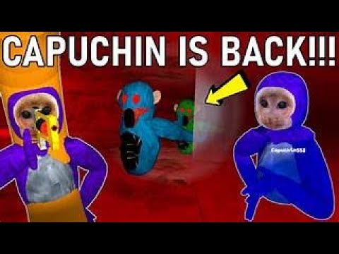 HOW TO GET OLD CAPUCHIN - YouTube