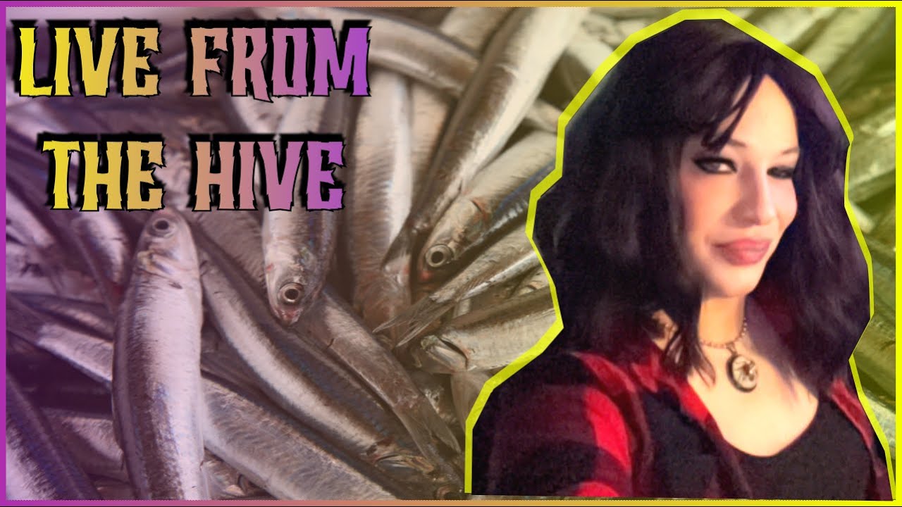 Live from the Hive || Feb 8th 2025 || Averasboro Gallinipper || Psychic ...
