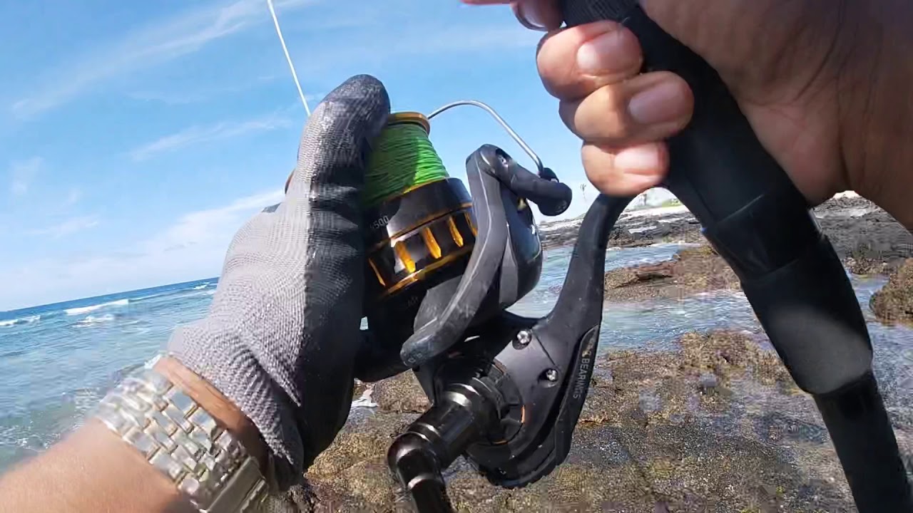 What was lurking out there?! - YouTube