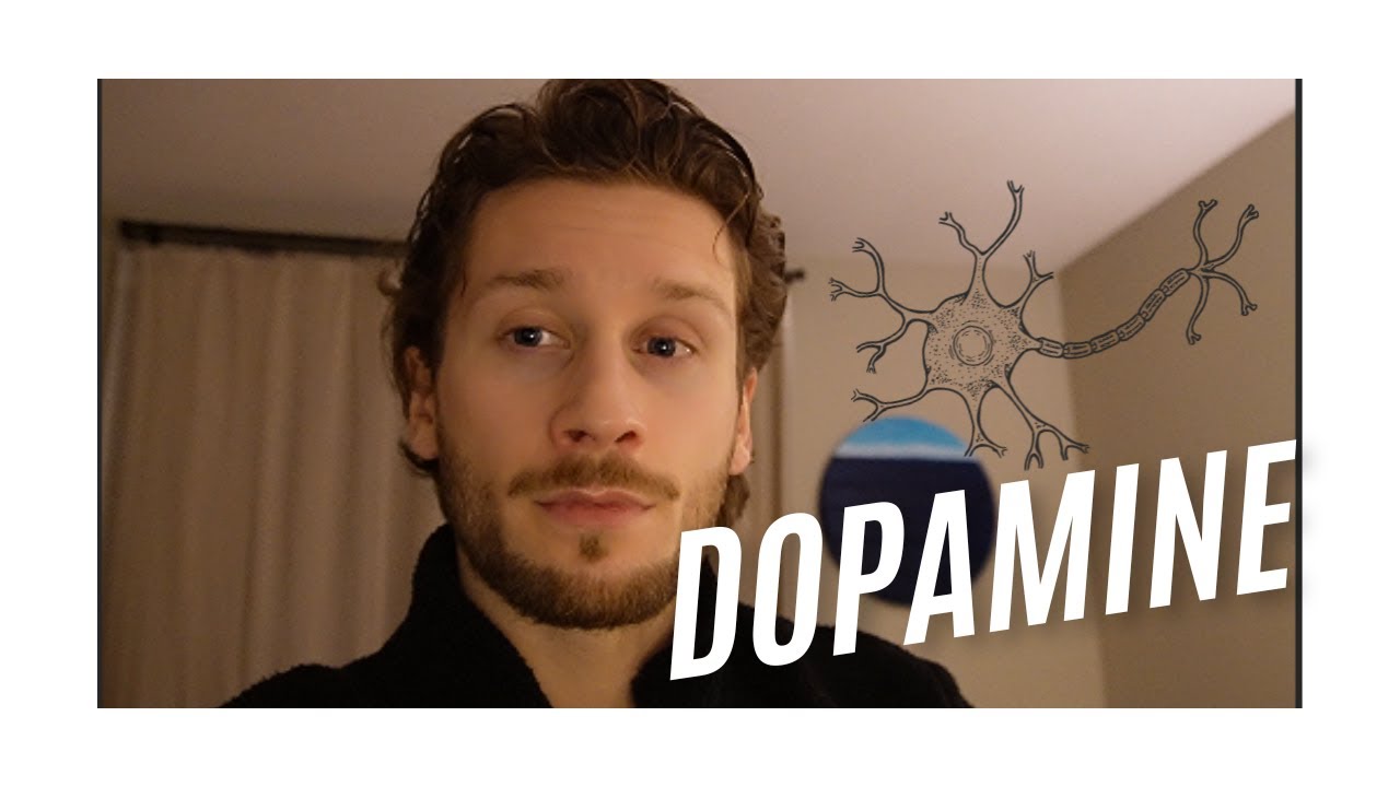 The Power of Dopamine – How It Affects Your Brain - YouTube