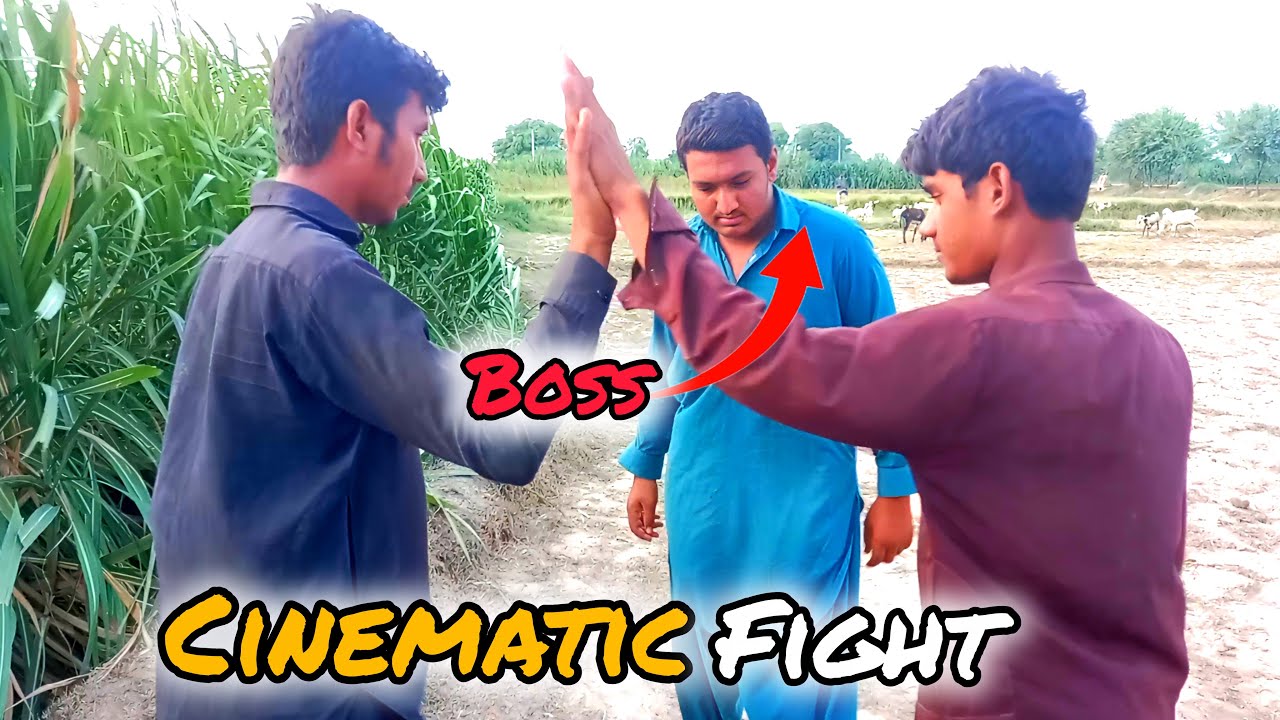 Cinematic Fight in Village Style | #vlog #fight #viral - YouTube