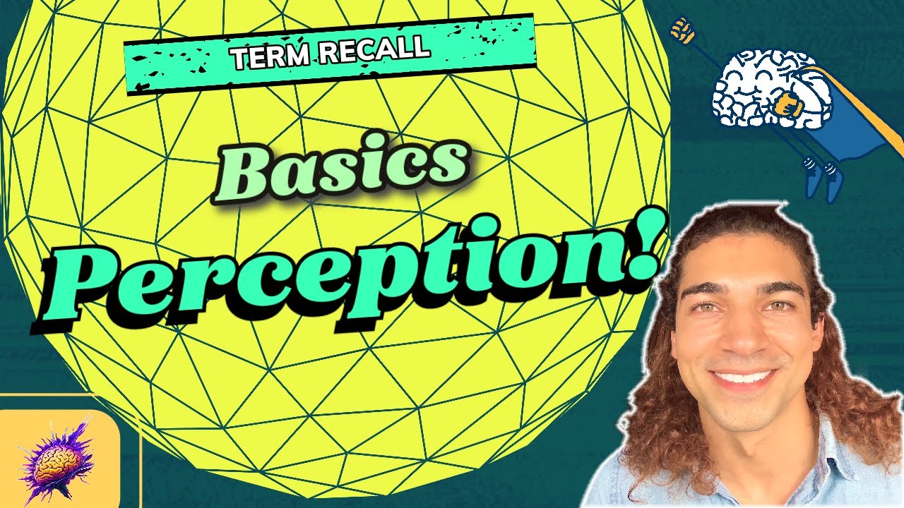 Basics of Perception - YouTube