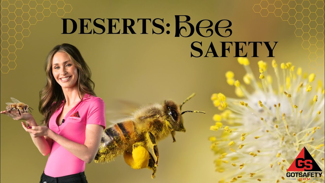 Desert Bee Safety: Tips and Precautions for Safe Encounters # ...