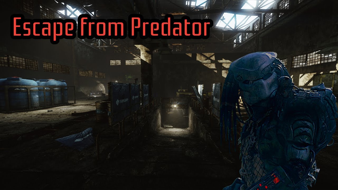 Predator Tarkov - YouTube
