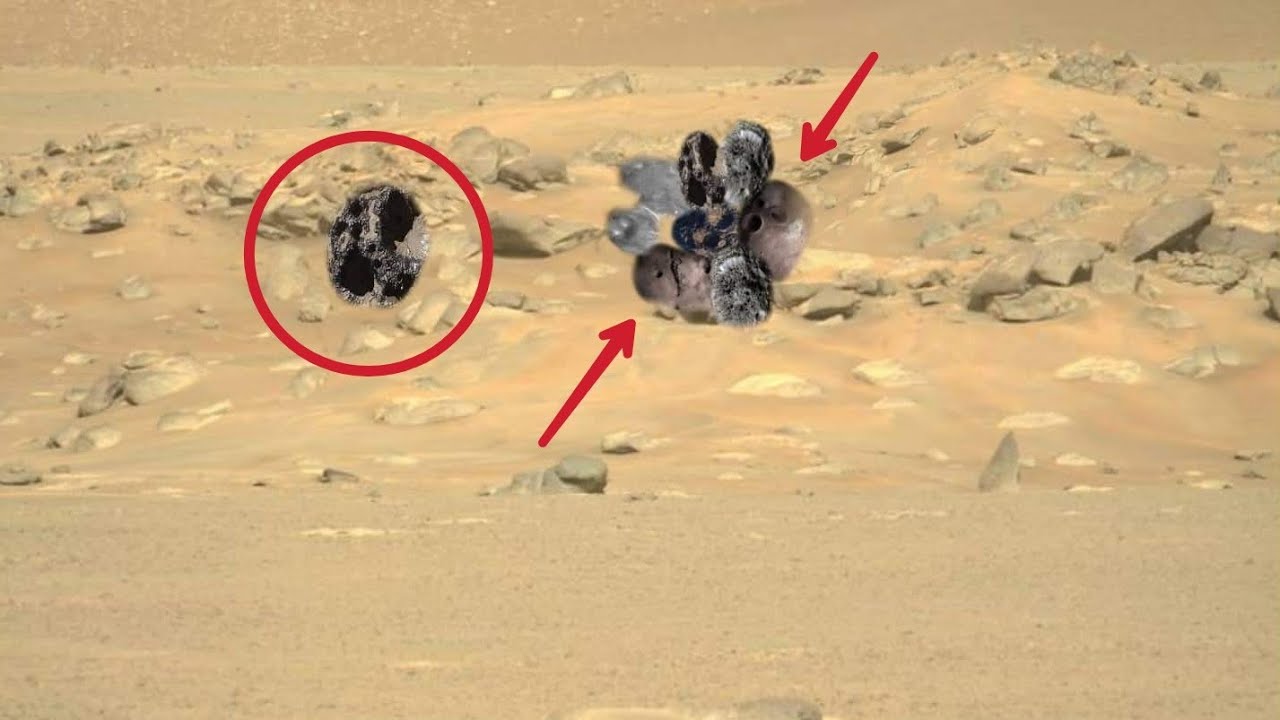 NASA'S Mars Perseverance Rover Recently Found Strange Object On Mars ...